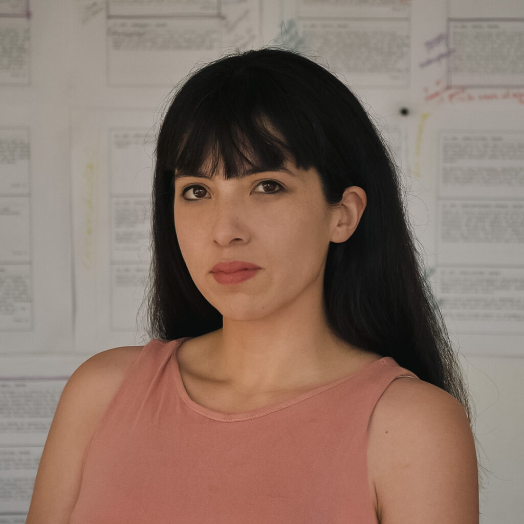 FICIQQ 15 – Festival Internacional de Cine de Iquique